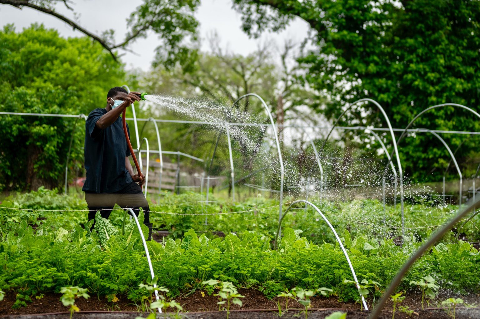 El Agua: elemento esencial para la vida en la Tierra – EAPSA